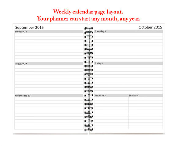 Teacher Schedule Template 5 Free Templates MS Word PDF Schedule 